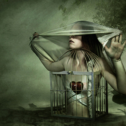 Amazing Birdcage Inspired Photo Manipulations | PSDDude