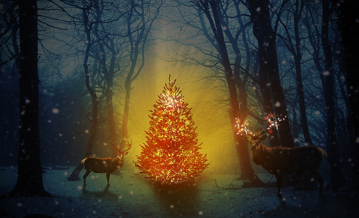 Magic Christmas Tree Photoshop Manipulation Tutorial